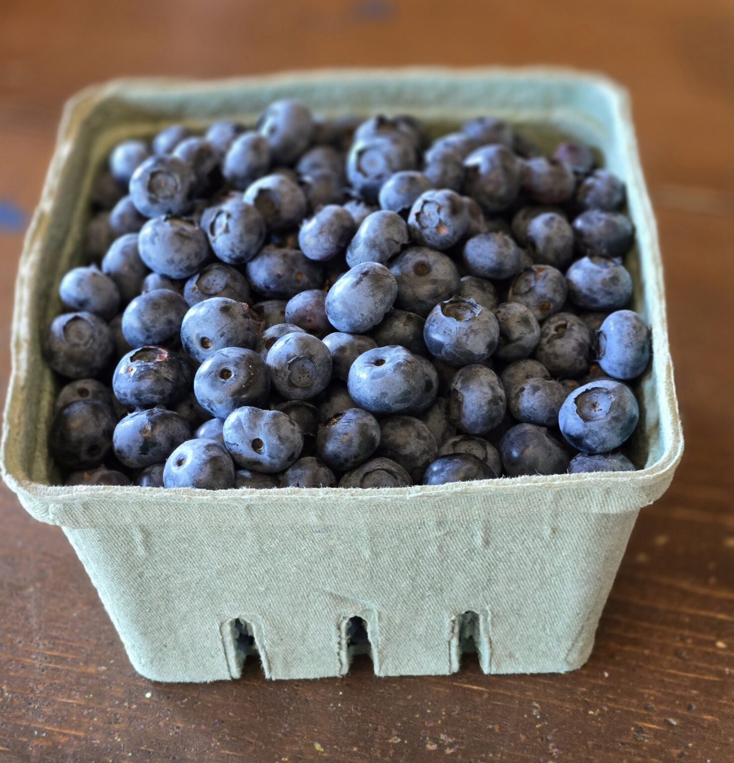 Blueberries Quart - Ferrara's Orchards